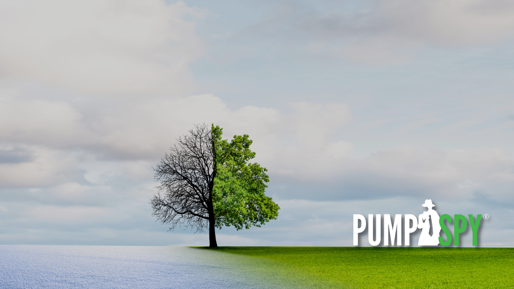 Blogs | PumpSpy Store